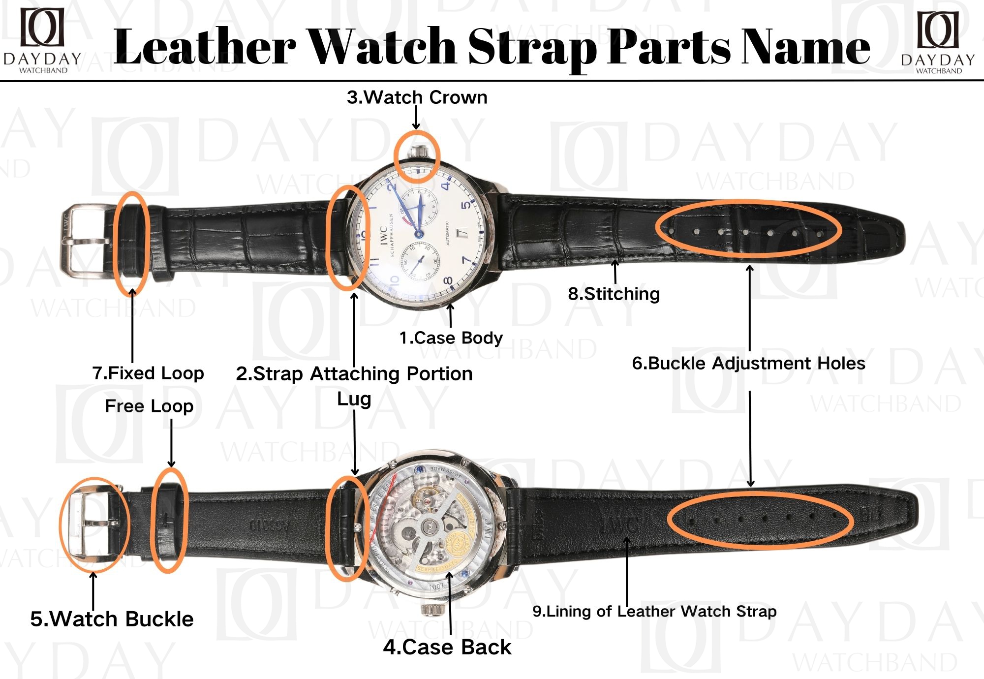 Leather Watch Strap Parts Name Guide | Daydaywatchband